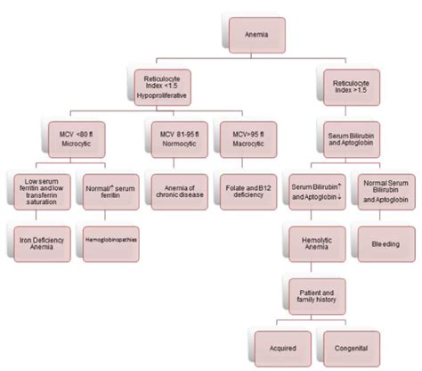 Anemia Types Causes Symptoms And Treatments