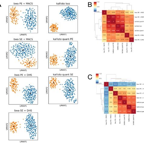 Runtime Analysis Graphical Representation Of Runtimes For The Datasets