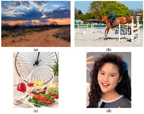 A Comparison Of Compression Codecs For Maritime And Sonar Images In