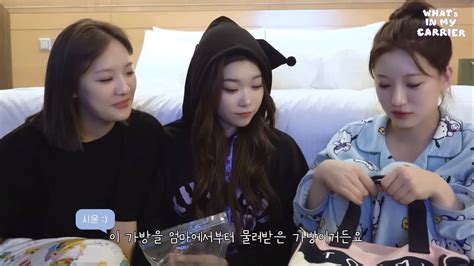 년생 아이돌이 엄마한테 물려받은 빈티지 가방 년대생 충격주의 인스티즈 instiz 이슈 카테고리