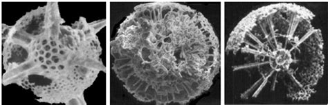 Any Illustration Of The Fractal System Of Virtual Shells Of Elementary Download Scientific