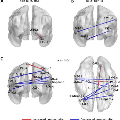 Brain Network Correlation Matrix The Graphs Show The Correlation