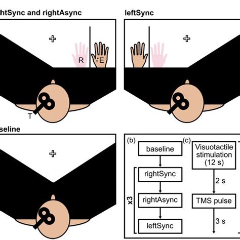 Experimental Setup And Procedure A Experimental Setup For Each Download Scientific Diagram