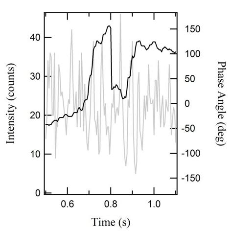 Polarization Modulation Data Showing The Orientational Motion Of A Download Scientific Diagram