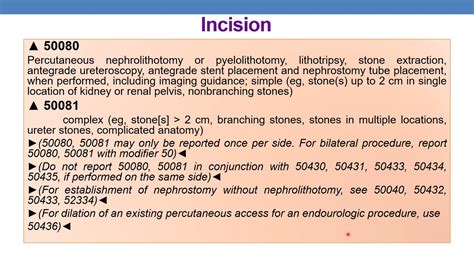 Pcnl Cpt Code The Ultimate Guide For Nephrolithotomy Billing Sciencestream Blog