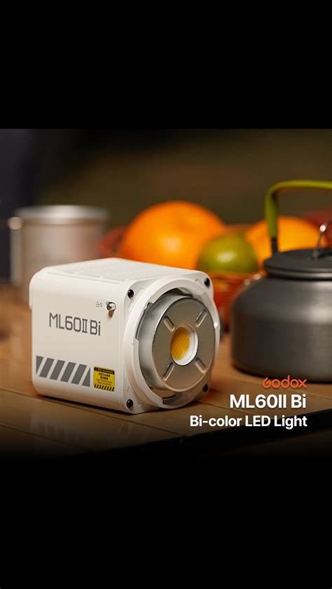 가우포토 빈티지한 감성을 담은 Lux 시리즈 그 중 끝판왕 Lux Master Lux Master Gn25 플래시 파워 단계 M모드 11 1256 Cct