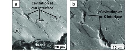 Sem Micrographs Of Crept Samples Near To The Fracture Surface For A