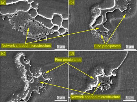 Microstructure Images Obtained By Sem After Thermal Simulations With Download Scientific