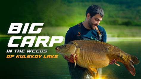 ГОЛЕМИ ТУПАЛКИ в тревите на Кулеков лейк Big Carp In The Weeds Of Kulekov Lake Youtube