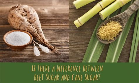 is there a difference between beet sugar and cane sugar the coconut mama