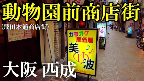 大阪西成中華カラオケ居酒屋だらけ超ディープな動物園前商店街を歩く YouTube