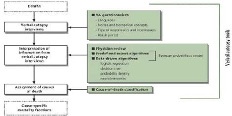 Verbal Autopsy Tools And Process Download Scientific Diagram