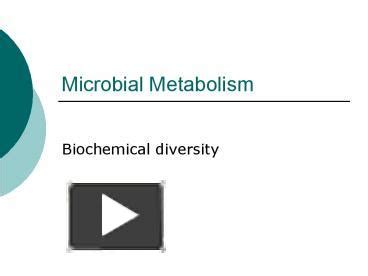 Microbial Metabolism Presentation Free To View