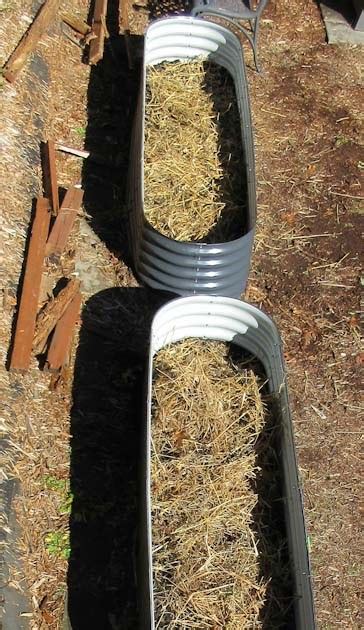 Blue Starr Gallery New Raised Vegetable Bins