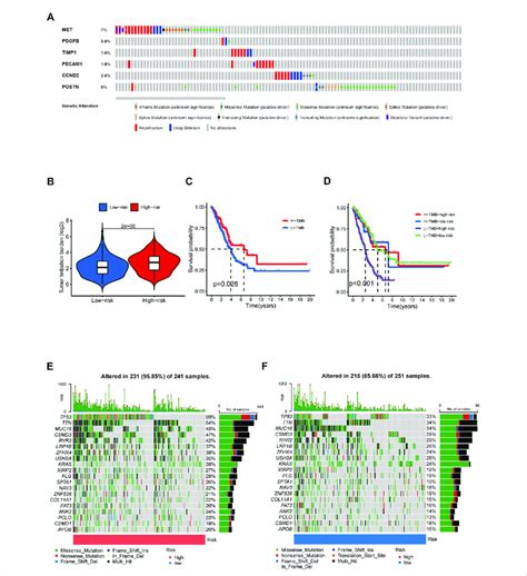 Tumor Mutation Burden And Gene Mutation Analysis A Genetic Download Scientific Diagram