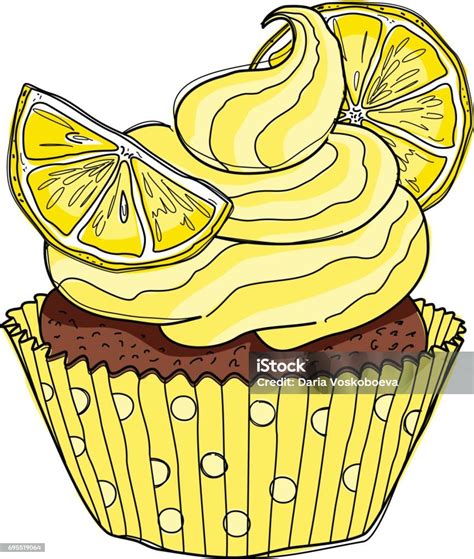 그려진된 컵 케 잌은 과자가 게 메뉴에 대 한 낙서 Buttercream와 손 레몬 맛입니다 벡터 일러스트 레이 션 감귤류 과일에 대한 스톡 벡터 아트 및 기타 이미지