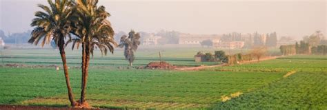 ترند الصور بالذكاء الاصطناعي أسهل طريقة لتحويل صورتك لكرتون شبابيك