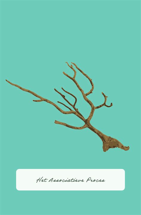 Het Associatieve Proces Chaos Academie