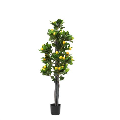 ხილის ხე Decor Gallery