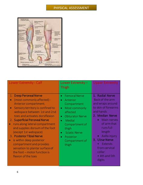 Compartment Syndrome Pdf Free Download