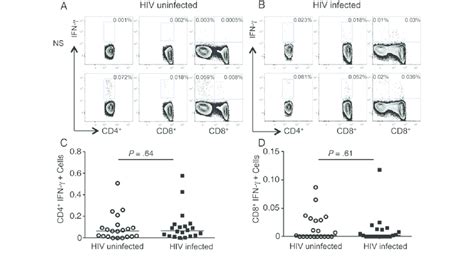 Interferon Ifn γ Production By Mycobacterium Tuberculosis Specific Download Scientific