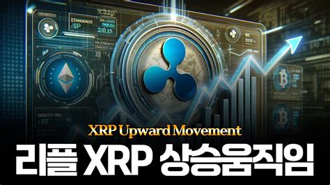 리플 Xrp 상승의 움직임 준비 끝 Youtube