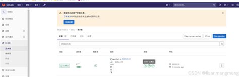 Gitlab Ci 测试实例gitlabcmitry Csdn博客
