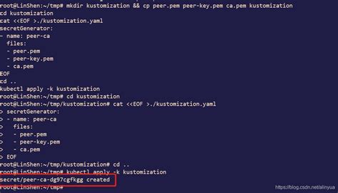 Kubernetes应用中使用tlsssl证书的两种方法及实践 且炼时光
