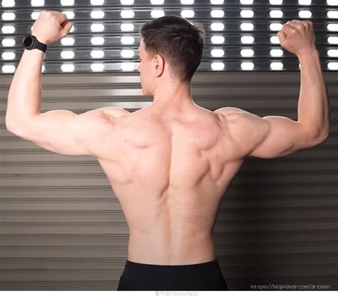 남자 여자 헬스 어깨 넓어지는 근육 운동 숄더 프레스 루틴 덤벨 아놀드프레스 바벨 오버헤드프레스 밀리터리프레스 비하인드넥프레스 네이버 블로그