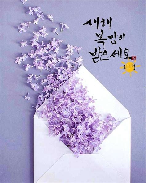 새해 복많이받기 뉴스트림