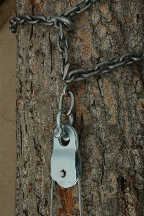 Warn Cordless Pullzall Review Pro Tool Reviews