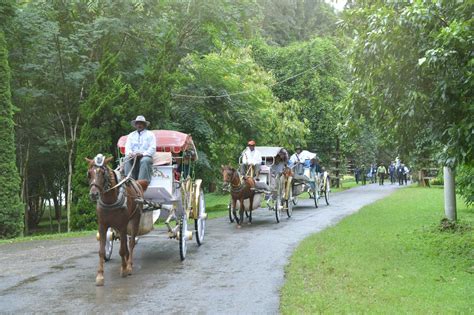 ၂၀ ကြိမ်မြောက် အာဆီယံလေတပ်ဦးစီးချုပ်များအစည်းအဝေး 20th Aacc သို့ တက်ရောက်လာသည့် အဖွဲ့ဝင