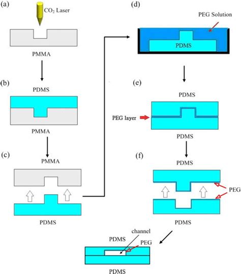 Scheme Of Fabricating The Pdms Microfluidic Chip Includes The Co2 Laser Download Scientific