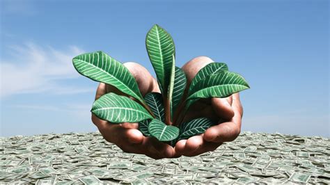 Life Cycle Analysis Turning Sustainability Into Opportunity Elnion