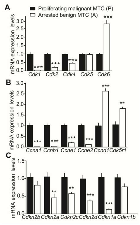 Gene Expression Analysis Of Cell Cycle Regulators In Malignant And Download Scientific Diagram