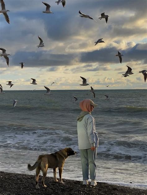 фото у моря с чайками🌊🕊 в 2024 г Фотография девушки Мечтательная фотография Фотографии