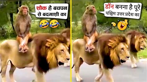 इन जानवरों से पंगा ना बाबा ना 🤣😜 Funny Animals Video 2022 Part 7
