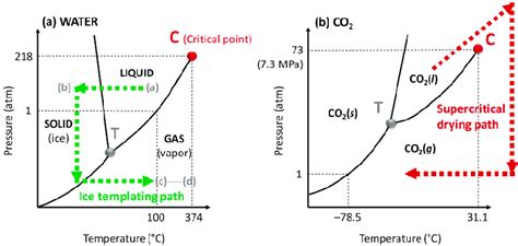 Phase Diagrams Of Freeze Drying A And Supercritical Drying B Download Scientific Diagram