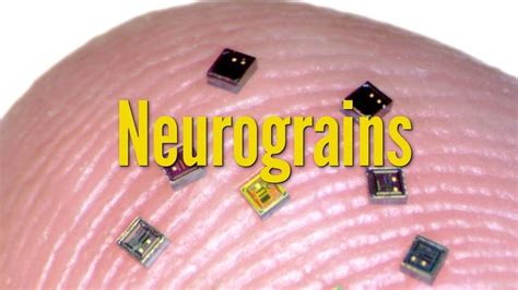 Researchers Take Step Toward Next Generation Brain Computer Interface