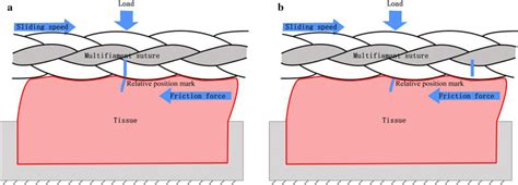 Ssketch Map A Static Friction Stage And B Dynamic Friction Stage Download Scientific Diagram