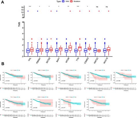 Investigation Of Gene Mutation Associated With Both Tmb And Overall