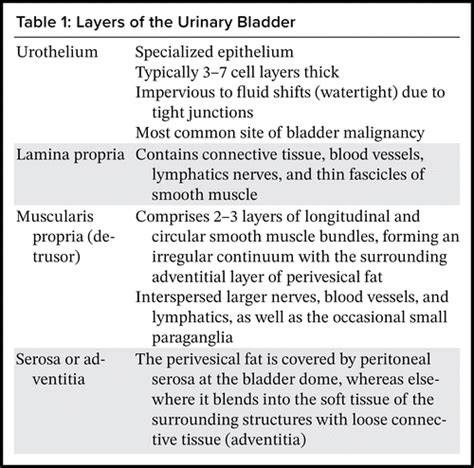 Urinary Bladder Masses Rare Subtypes And Masslike Lesions Radiologic
