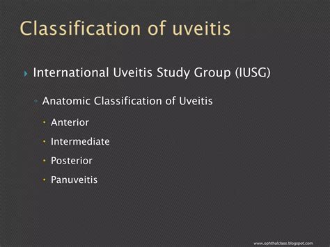 Common Causes Of Uveitis Part1 Pptx