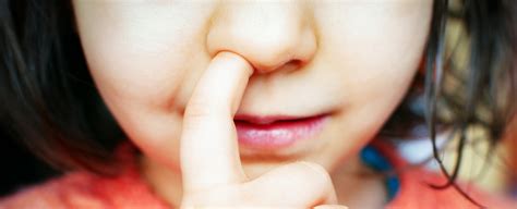 Mouse Study Suggests A Surprising Link Between Nose Picking And
