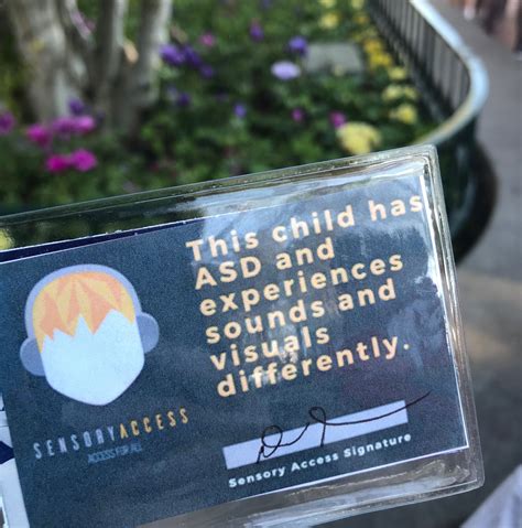 Autism Accessibility In Disneyland The Das Pass Sensory Access Travel