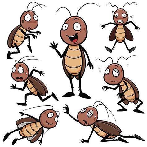 Cockroach Illustrations Royalty Free Vector Graphics And Clip Art Istock