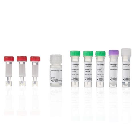 Invitrogen Phrodo Antikroppsmärkningssatser 3 X 100 μg Buy Online