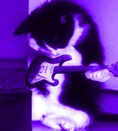 Purple Aesthetic Discord Pfp
