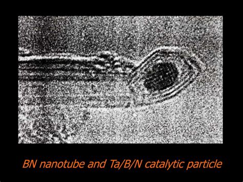 Internally Sealed Compartments Bn Nanotube And Ta B N Catalytic Particle Ppt Download