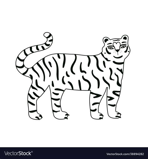 With Outline Black And White Tiger Royalty Free Vector Image